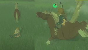 How To Get A Horse In Zelda Tears Of The Kingdom (TOTK)
