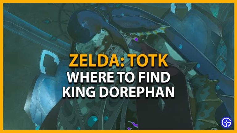 Zelda TOTK: Where To Find King Dorephan (Location)