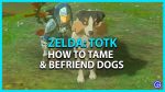 How To Tame, Pet & Befriend Dogs In Zelda Tears Of The Kingdom