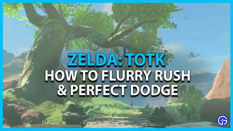 Zelda TOTK: How To Flurry Rush & Perfect Dodge