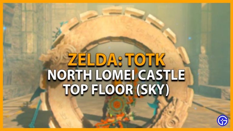 Zelda TOTK North Lomei Castle Top Floor (Sky): How To Solve