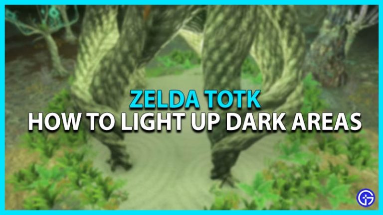 How To Light Up Dark Areas In Zelda TOTK - Gamer Tweak