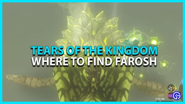 Where To Find Farosh Zelda TOTK (Location Guide)