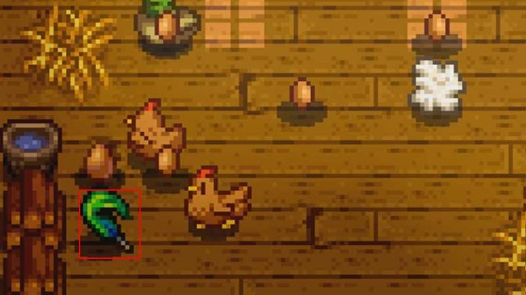 How To Get Duck Feather In Stardew Valley - Gamer Tweak