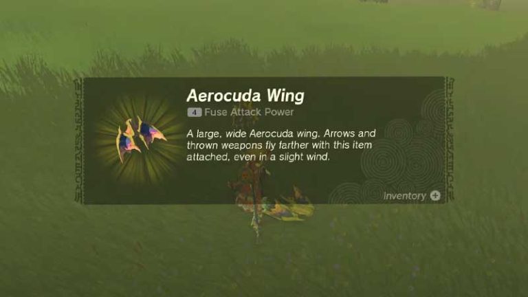 How To Get Aerocuda Wings In Zelda TOTK (Location Guide)