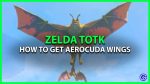 How To Get Aerocuda Wings In Zelda TOTK (Location Guide)