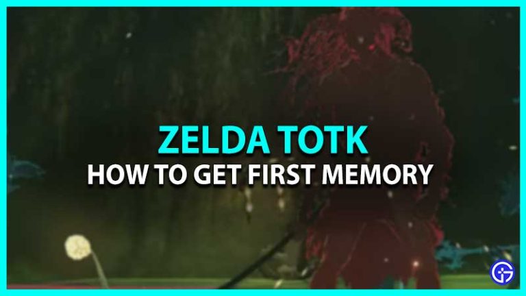 How To Get First Memory In Zelda TOTK - Gamer Tweak
