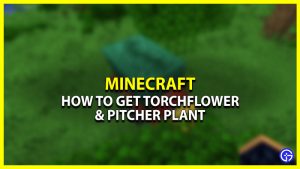 Minecraft Pitcher Plant & Torchflower: How To Get & Use