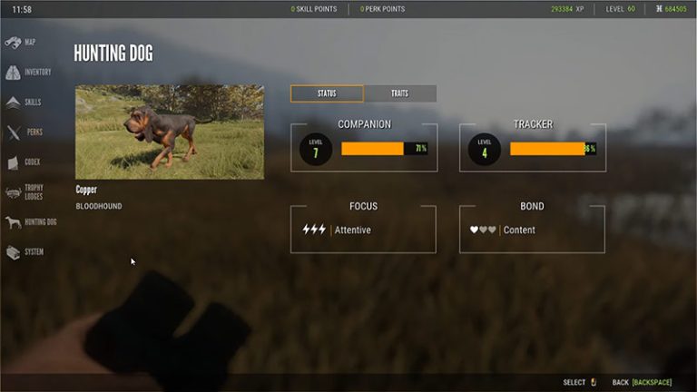 How To Use Bloodhound In The Hunter Call Of The Wild