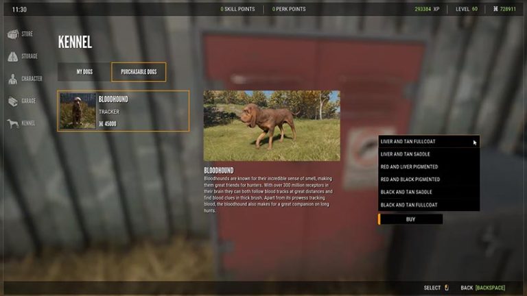 How To Use Bloodhound In The Hunter Call Of The Wild