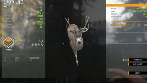 How To Find Diamonds In The Hunter Call Of The Wild