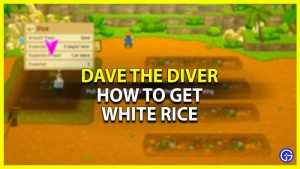 How To Get White Rice In Dave The Diver (Farm) - Gamer Tweak
