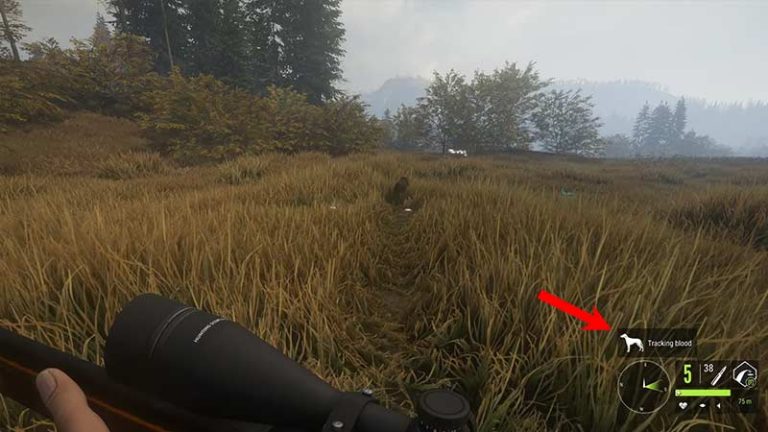 How To Use Bloodhound In The Hunter Call Of The Wild