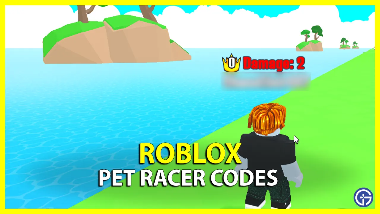 Pet Racer Simulator Codes (May 2024) Roblox - Gamer Tweak