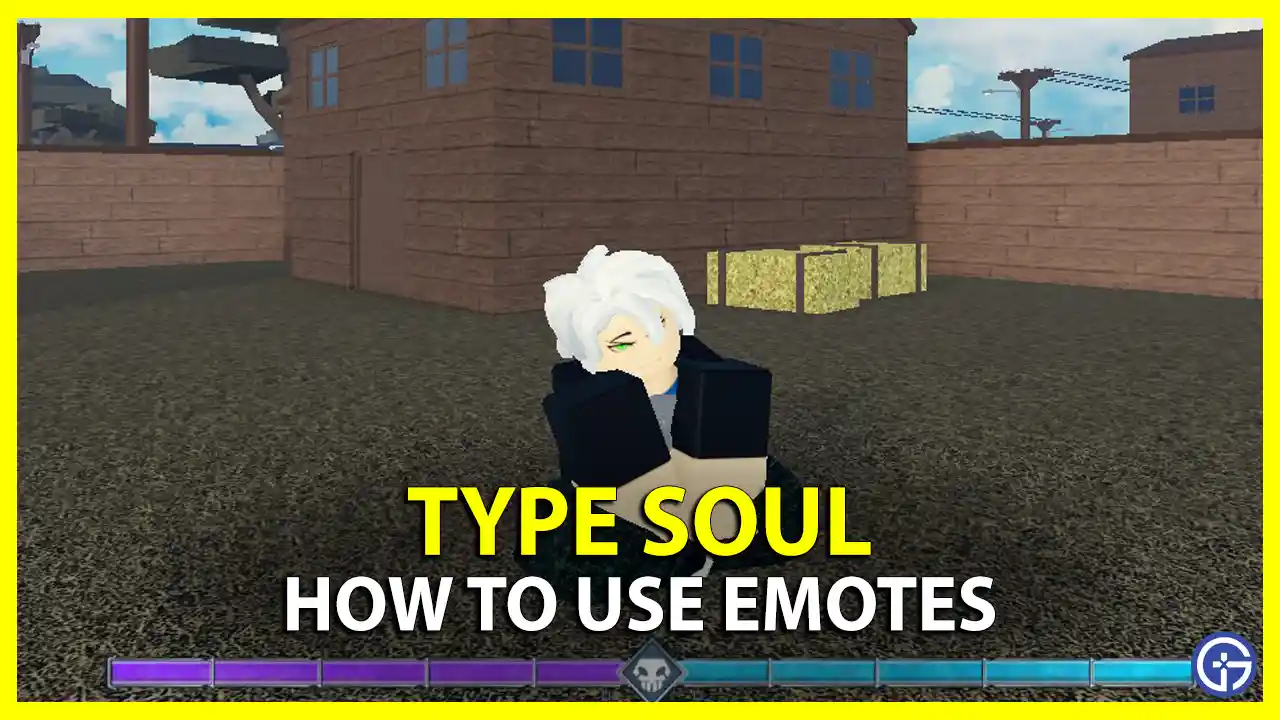 Type Soul Emote Shortcuts Guide - Gamer Tweak
