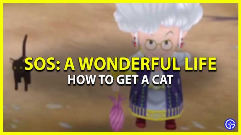 How To Get A Cat In Story Of Seasons A Wonderful Life