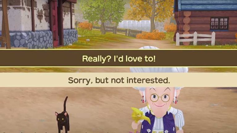 How To Get A Cat In Story Of Seasons A Wonderful Life