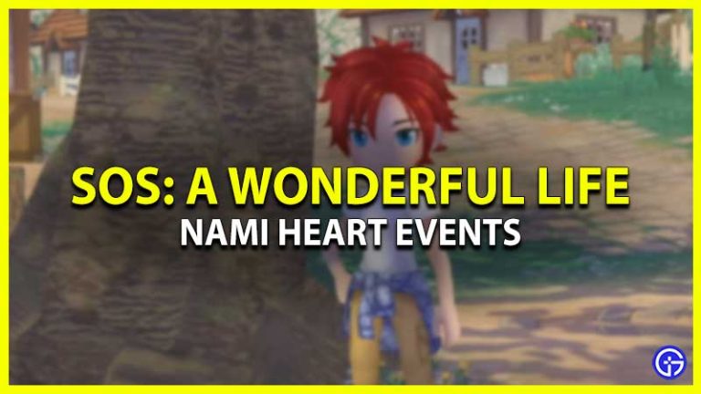 Nami Heart Events Guide | Story Of Seasons A Wonderful Life