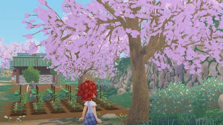 Nami Heart Events Guide | Story Of Seasons A Wonderful Life