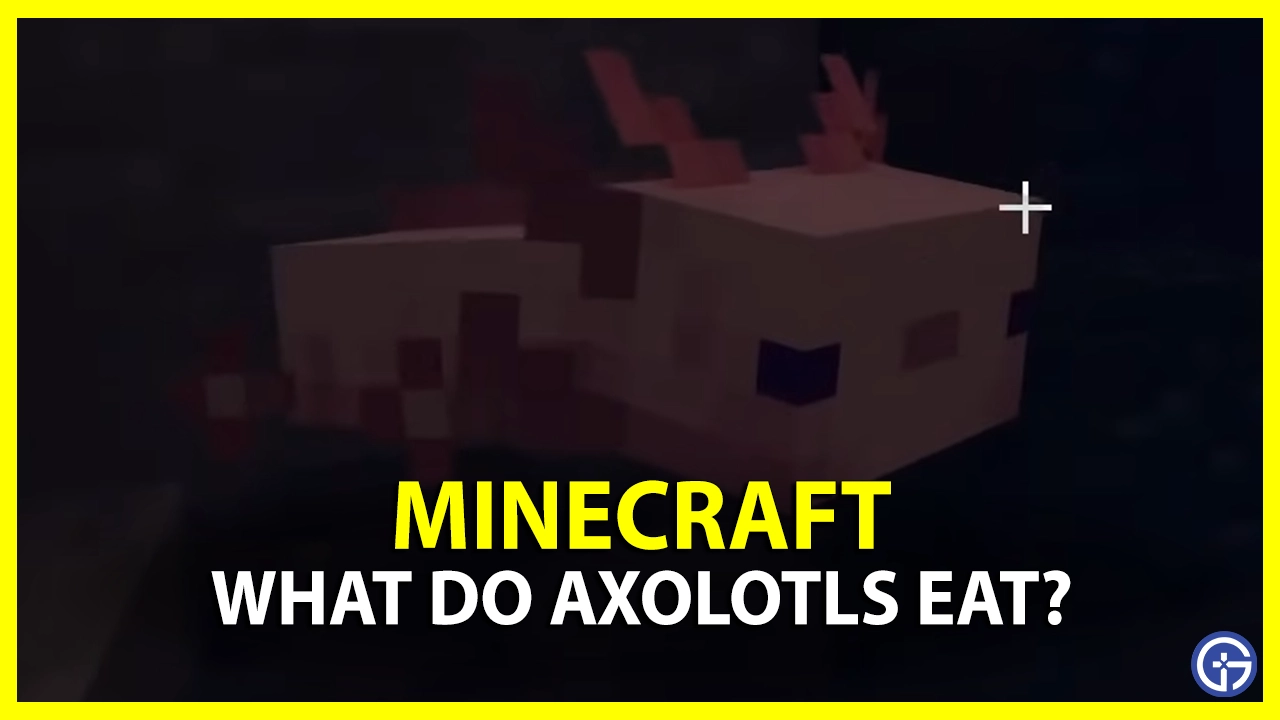 What Do Axolotls Eat In Minecraft? - Gamer Tweak