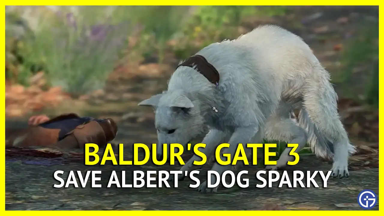 How To Stop Albert’s Dog Sparky In Baldur's Gate 3 (BG3) - Gamer Tweak