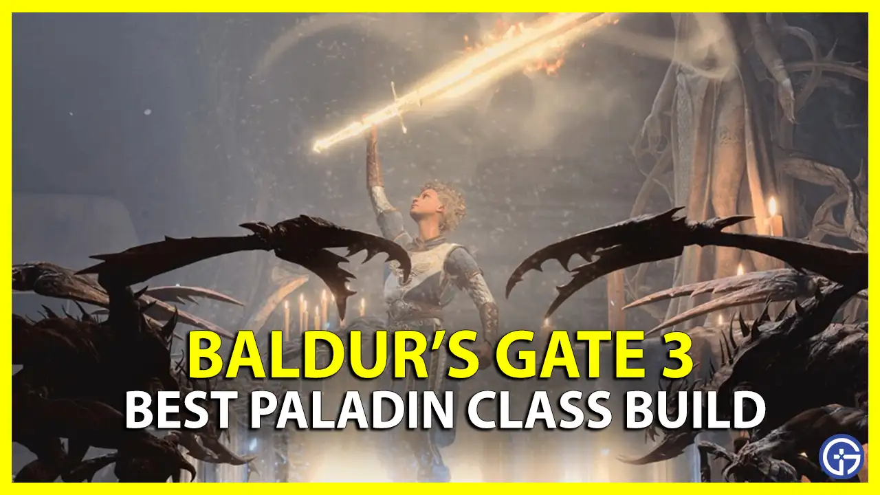 Best Paladin Class Build In Baldur's Gate 3 (BG3)