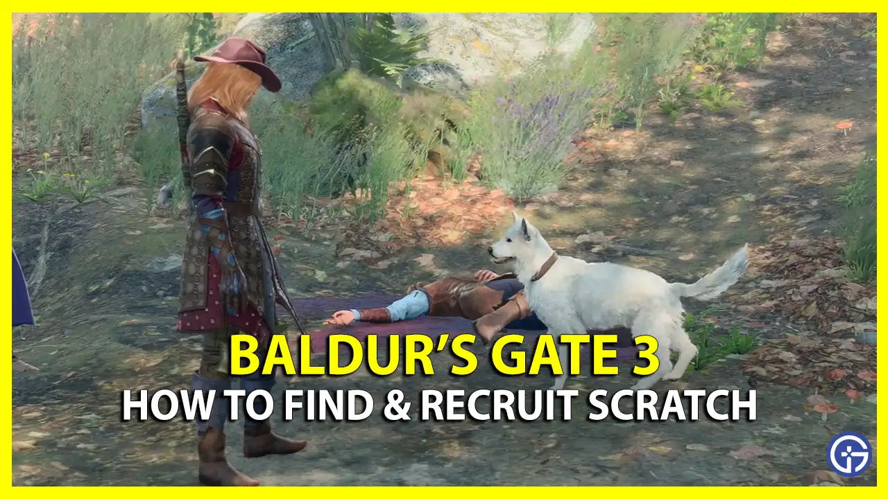How To Recruit Scratch The Dog In Baldur's Gate 3