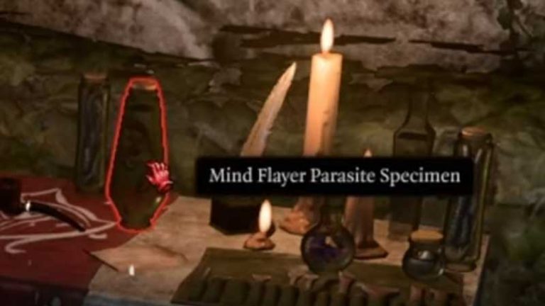 How To Unlock Displacer Beast In BG3?