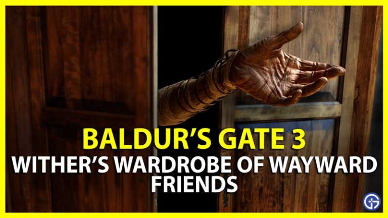 How Withers Wardrobe of Wayward Friends Works In BG3?