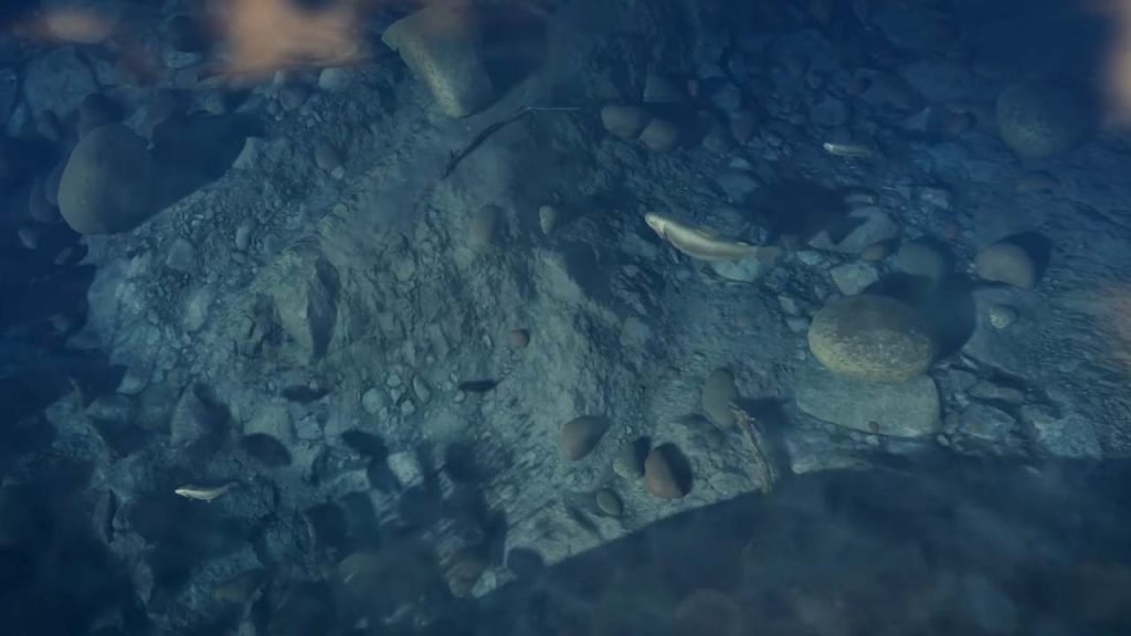 How To Catch Channel Catfish In Call Of The Wild The Angler