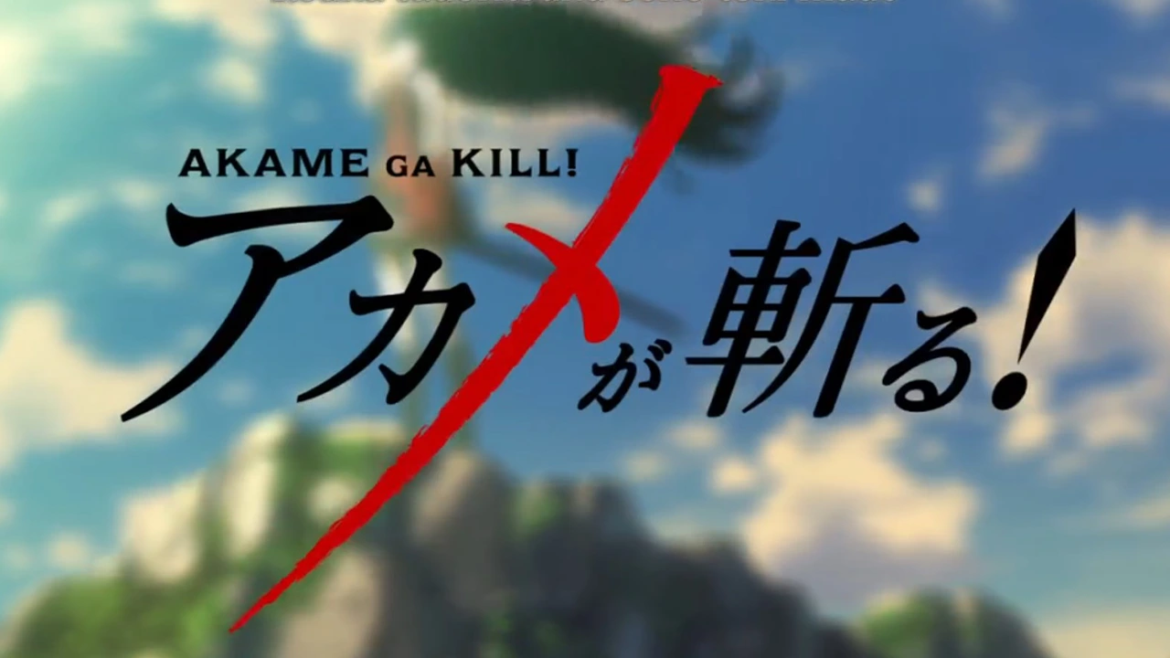 Akame Ga Kill: Will They Release Season 2 Or Adapt Zero?