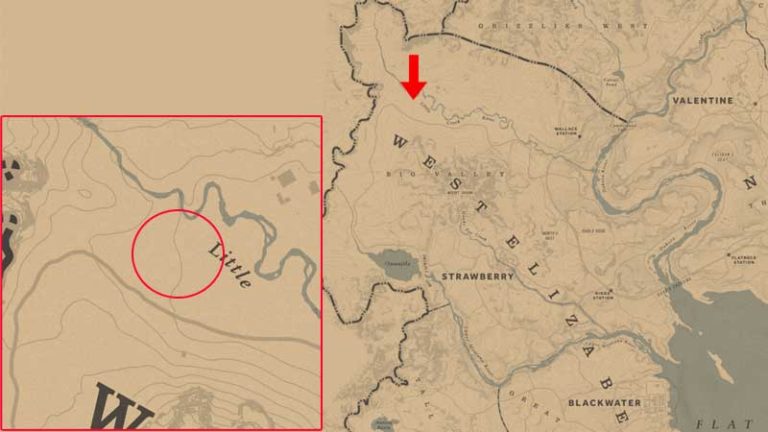 RDR2 Woodpecker Location Guide - 3 Map Locations To Hunt Birds