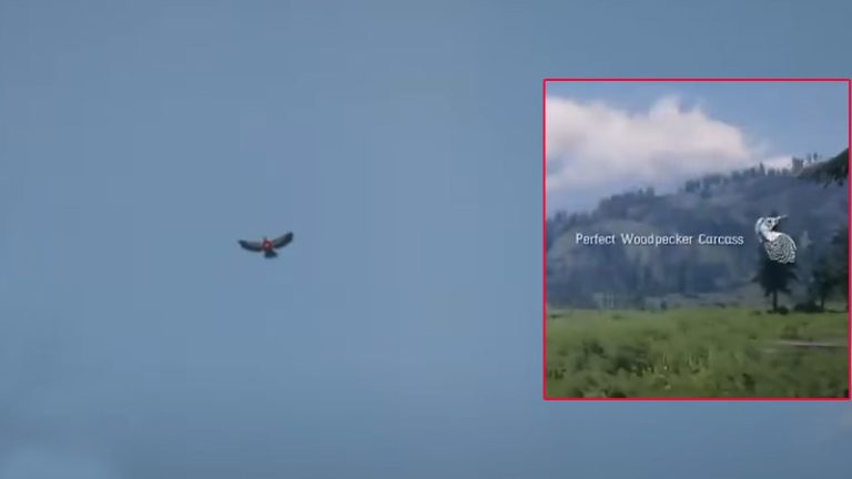 RDR2 Woodpecker Location Guide - 3 Map Locations To Hunt Birds
