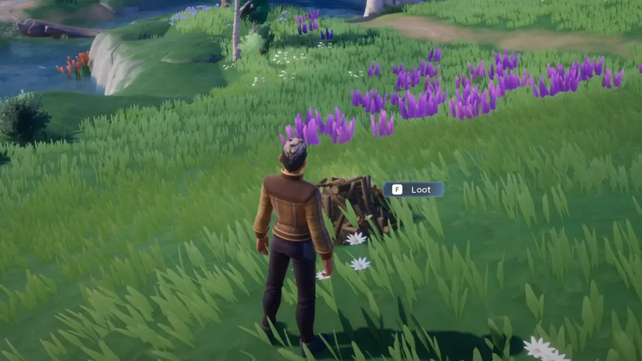 Palia Chapaa Rummage Piles Explained - Locations & Uses