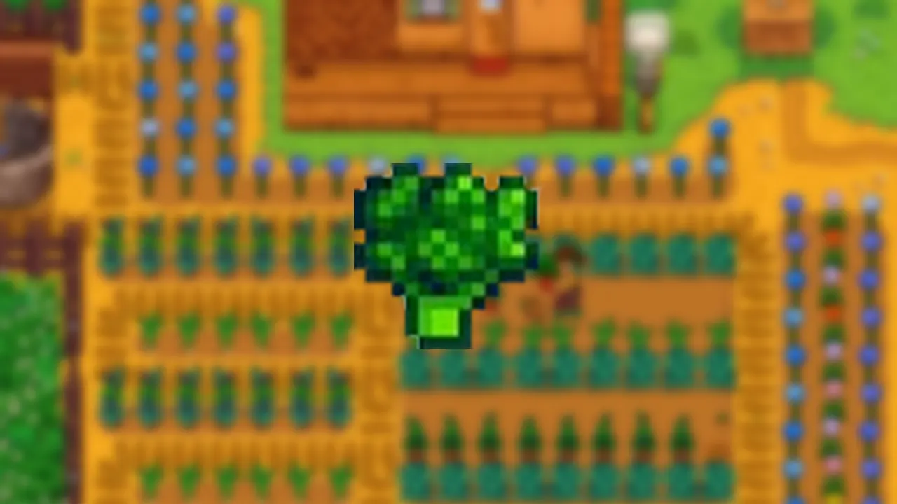 How To Find Broccoli In Stardew Valley 1.6