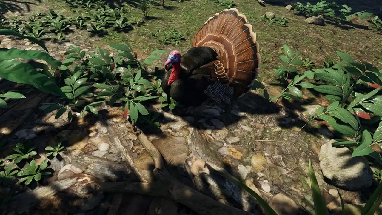 How To Get And Tame Turkey In Soulmask