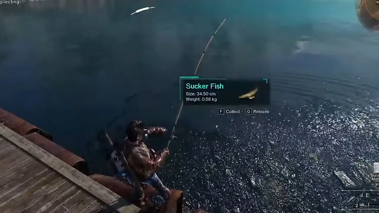 How to Fish in Once Human - Fishing Explained