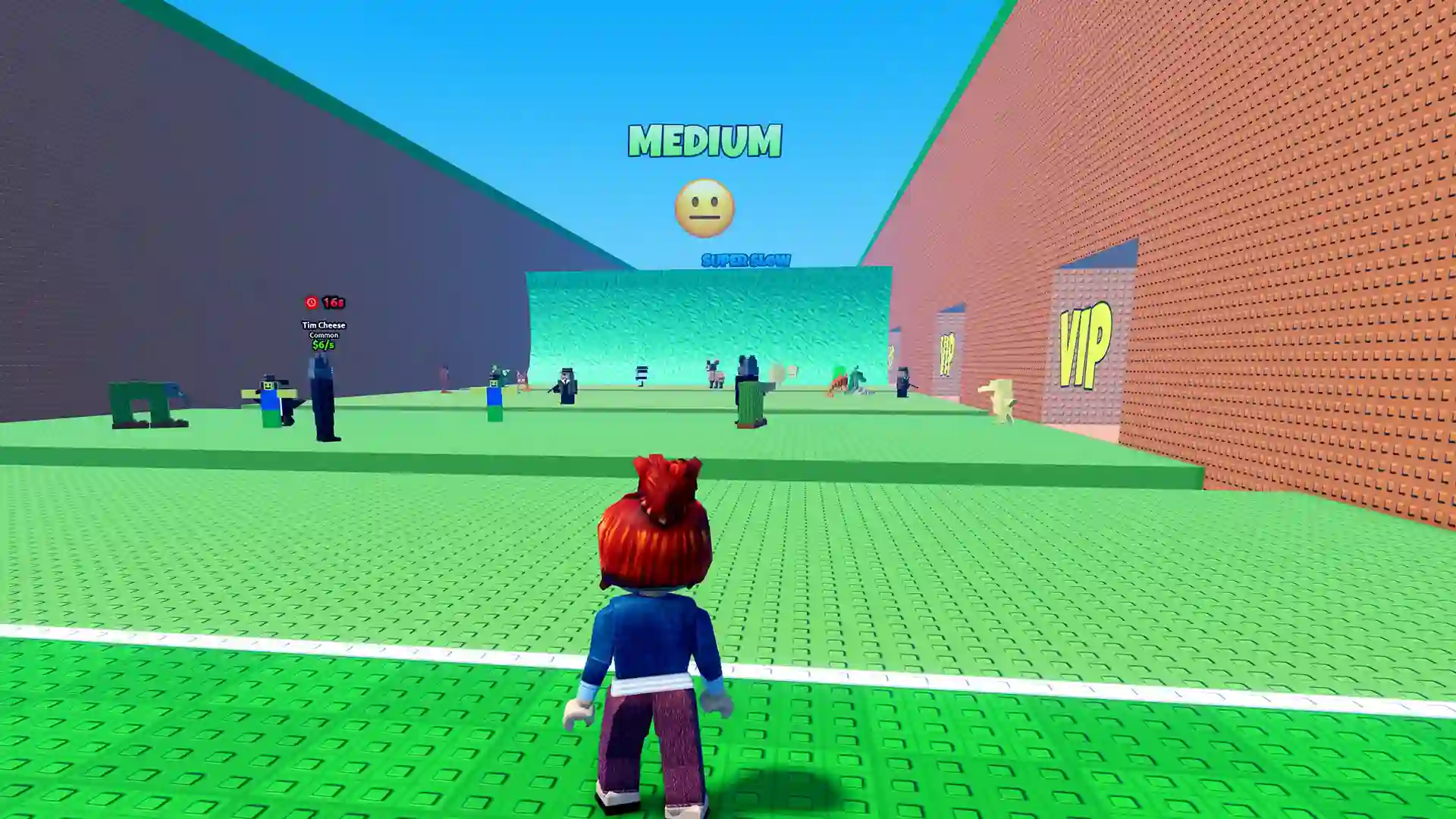 Escape Tsunami For Brainrots Codes - Gamer Tweak